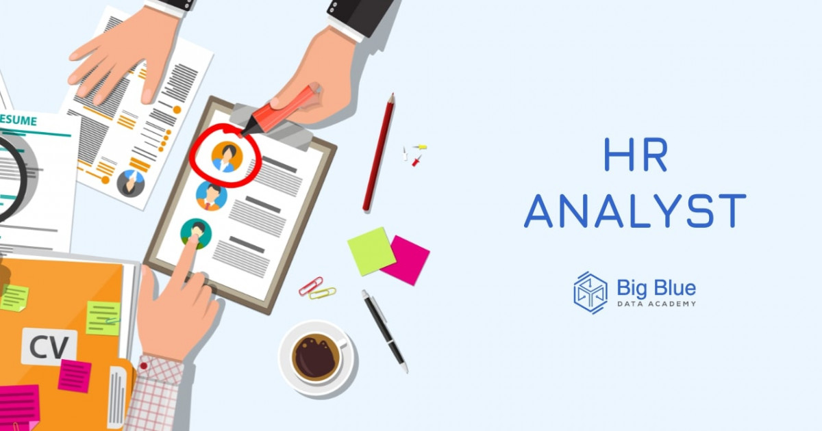 HR Analyst: Definition & The Role’s Importance